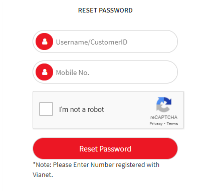 How to use Vianet Customer Portal • Vianet Communication Ltd.